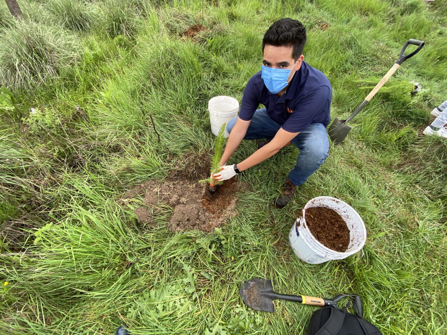 Nuestros proyectos de reforestación en México y el mundo - igus® Mexico ...